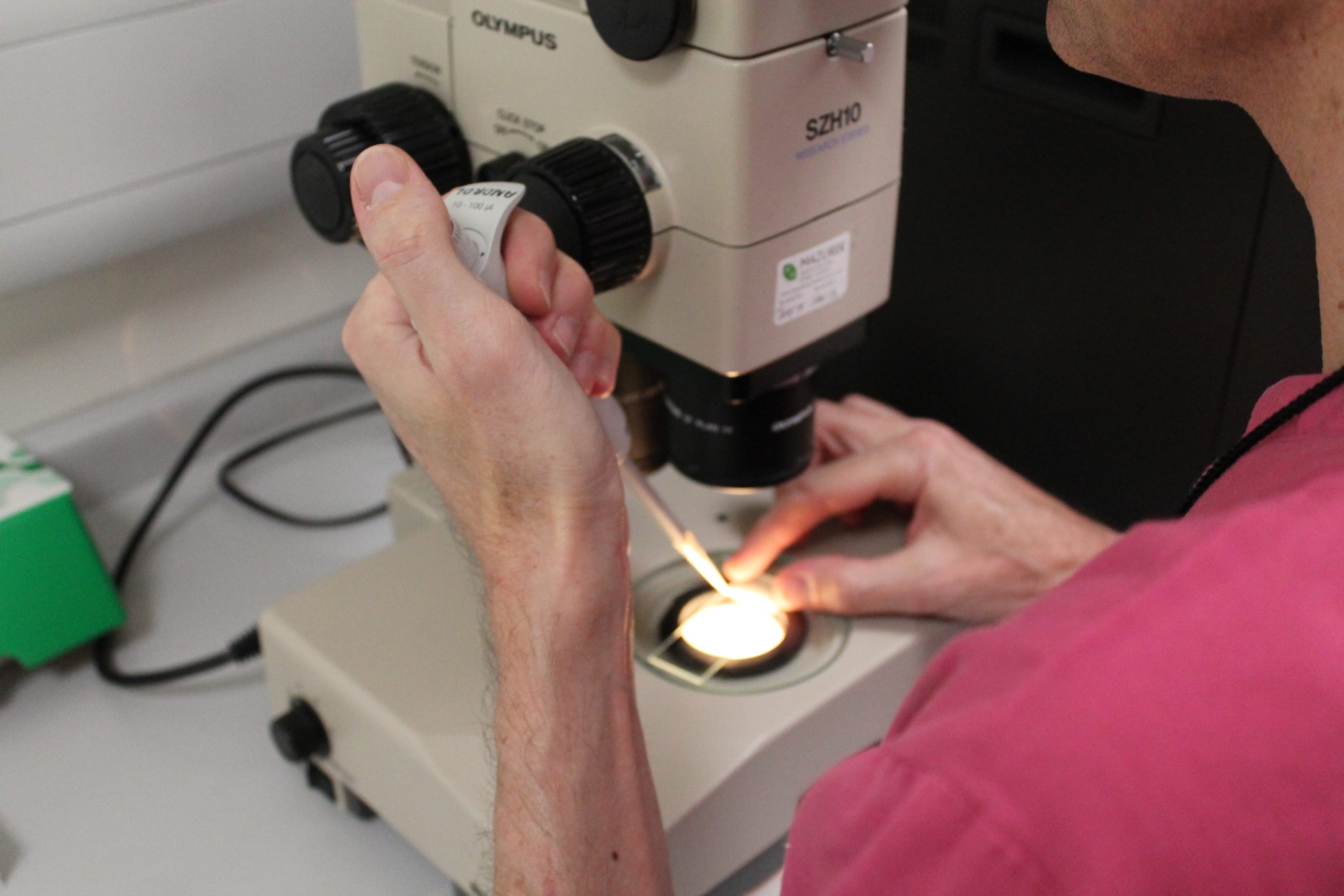 Gallery - South Tees Hospitals NHS Foundation Trust