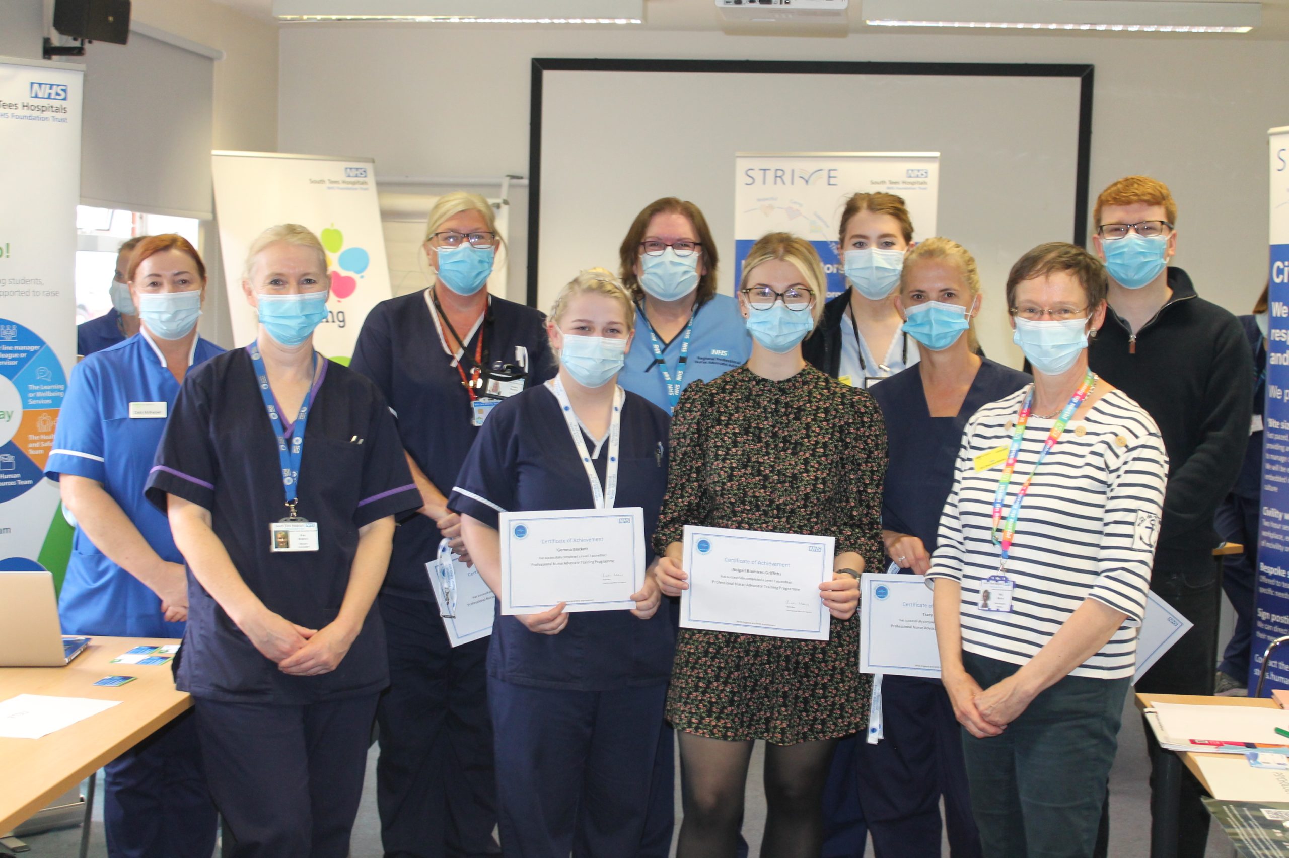 Professional nurse advocates to support colleagues’ mental health ...