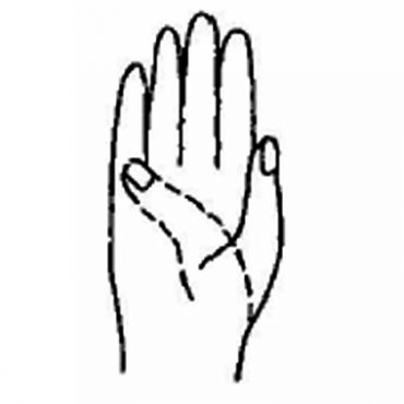 Advice and exercises following your thumb extensor tendon repair ...