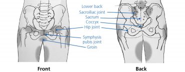 Pelvic girdle pain (PGP) in pregnancy - South Tees Hospitals NHS ...