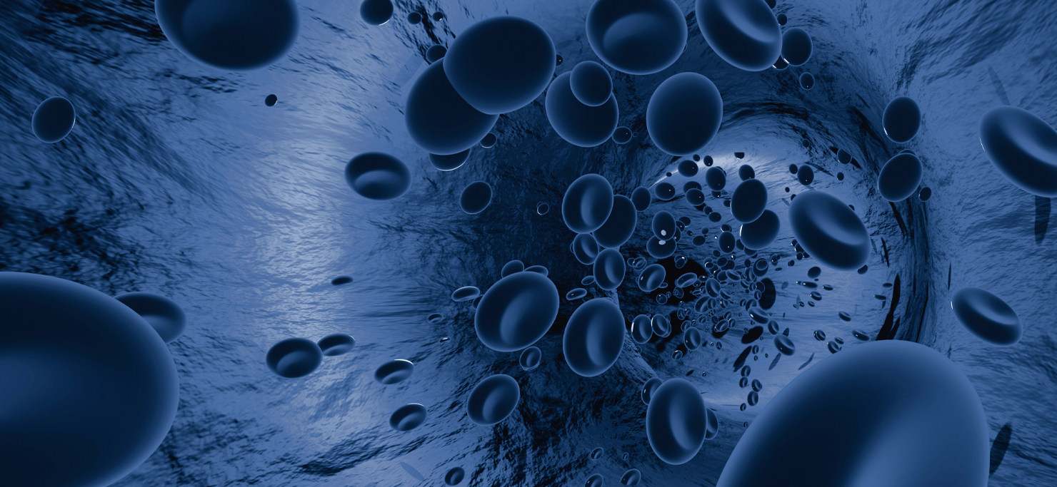 Haematology multidisciplinary team - South Tees Hospitals NHS ...