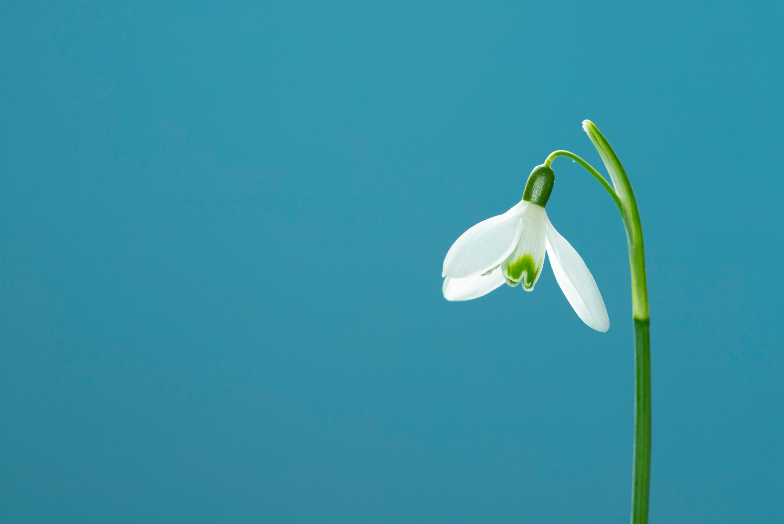 Bereavement midwife - South Tees Hospitals NHS Foundation Trust