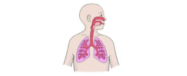 Asthma guidance and information - South Tees Hospitals NHS Foundation Trust